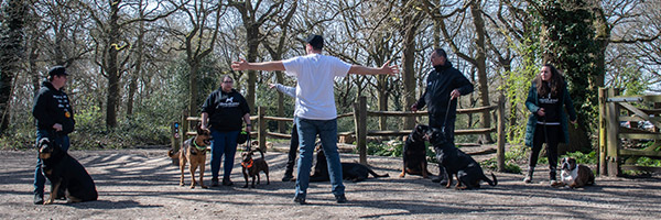 About us - Southend Dog Training