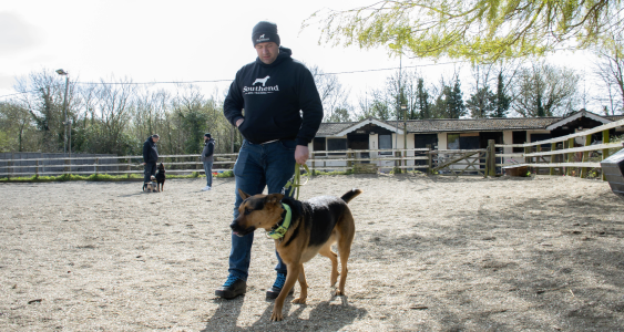 Training • Southend Dog Training