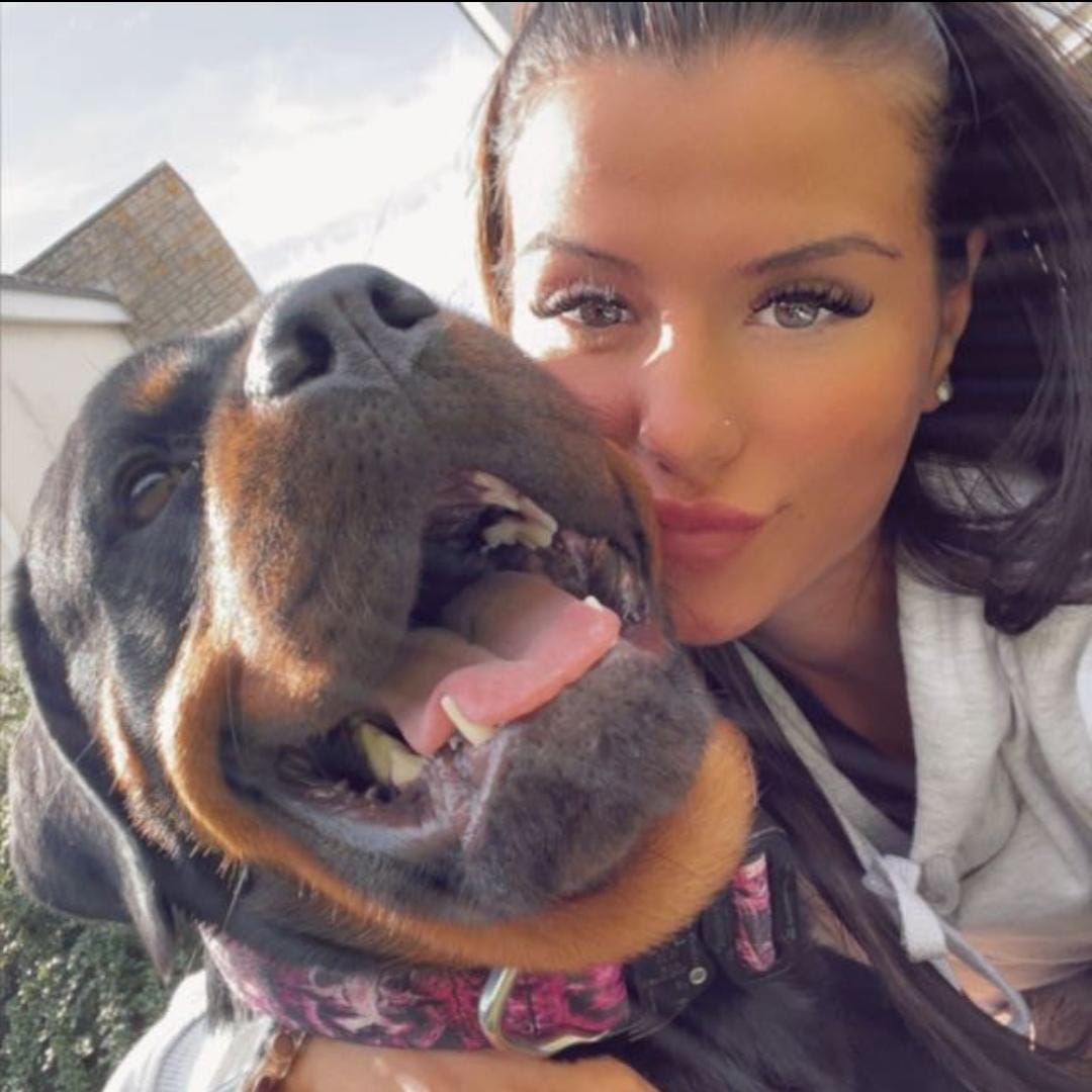 Home - Southend Dog Training
