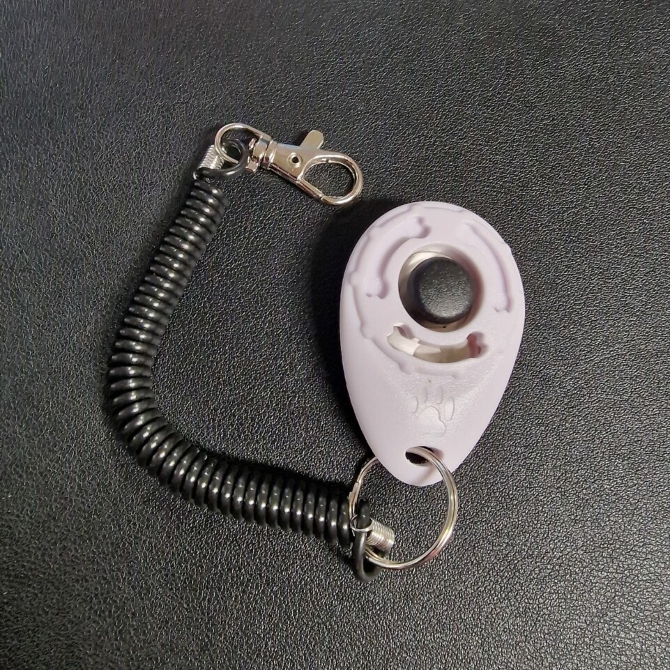 Dog Training Clicker • Buy Dog Clickers Online • Dog Training Equipment ...