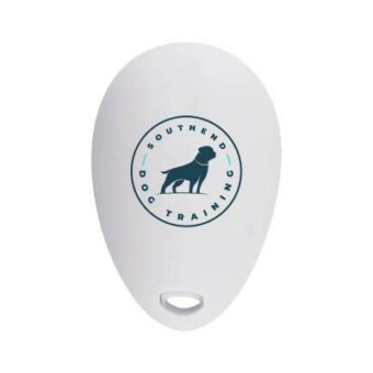 Online Dog Training • Southend Dog Training
