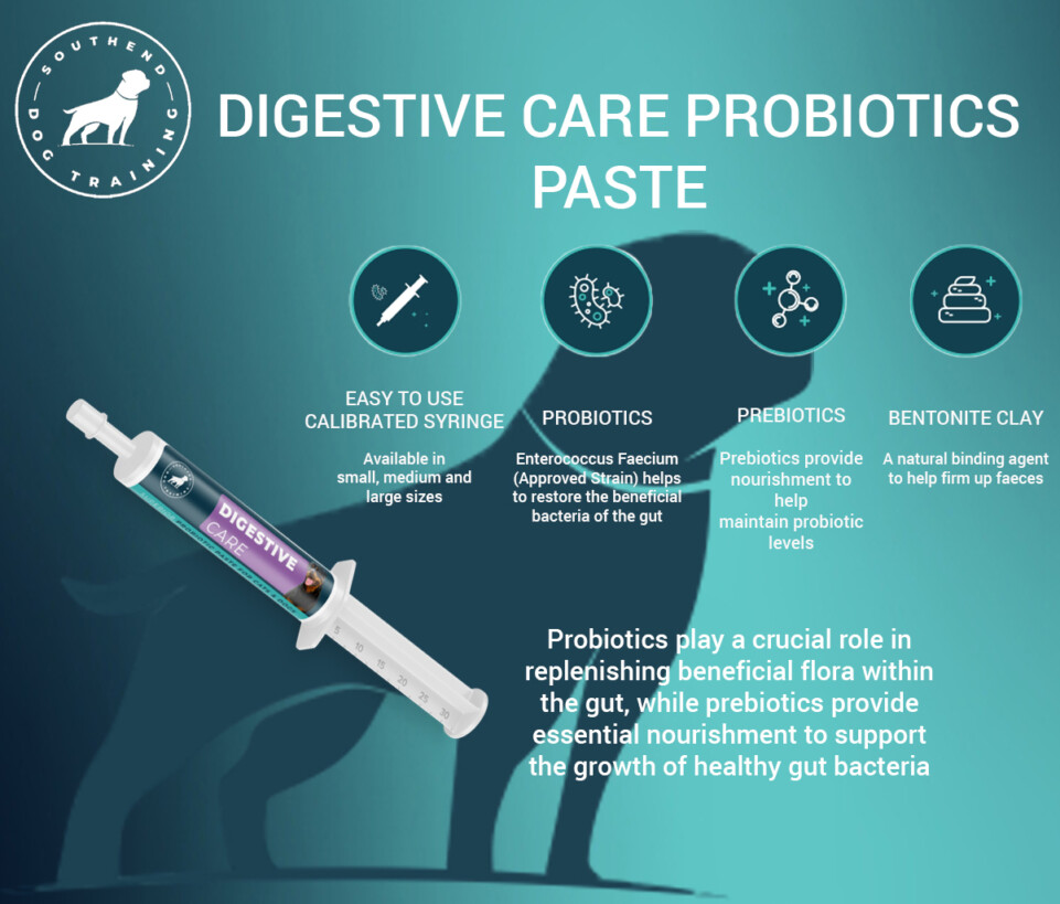 Digestive Care Probiotics Paste For Dogs • Southend Dog Training