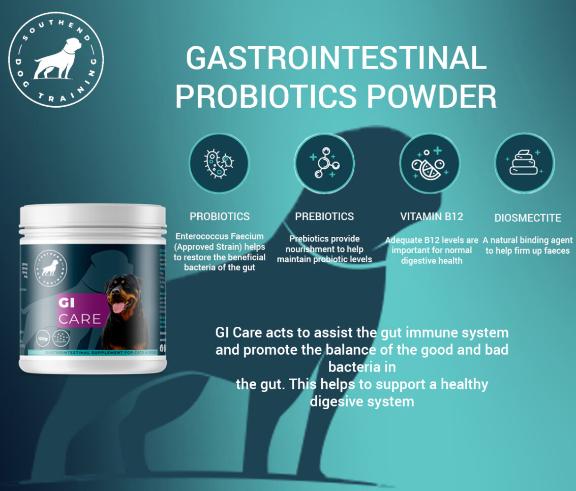Gastrointestinal Probiotics Powder For Dogs & Cats • Southend Dog Training