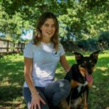 Online Dog Training • Southend Dog Training